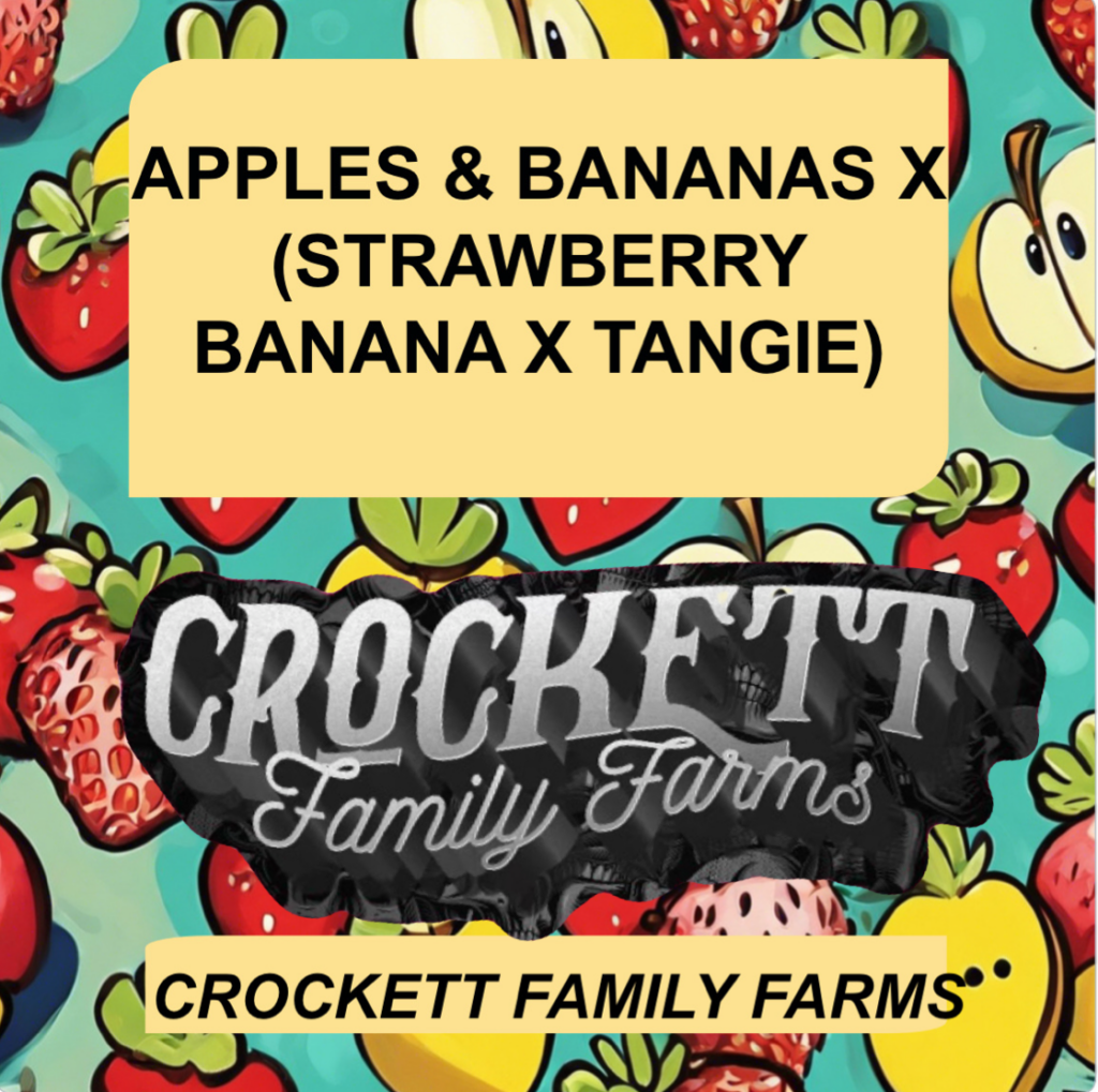 Regular seeds Archives - CROCKETT FAMILY FARMS