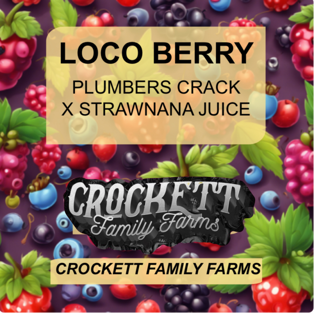 LOCO BERRY - CROCKETT FAMILY FARMS